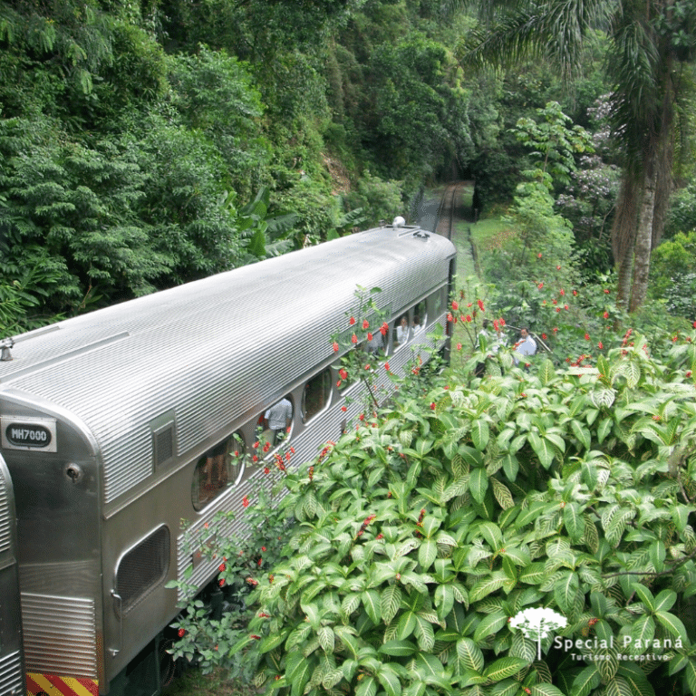 Passeio de Trem para Morretes: TUDO que Você Precisa Saber [2024]